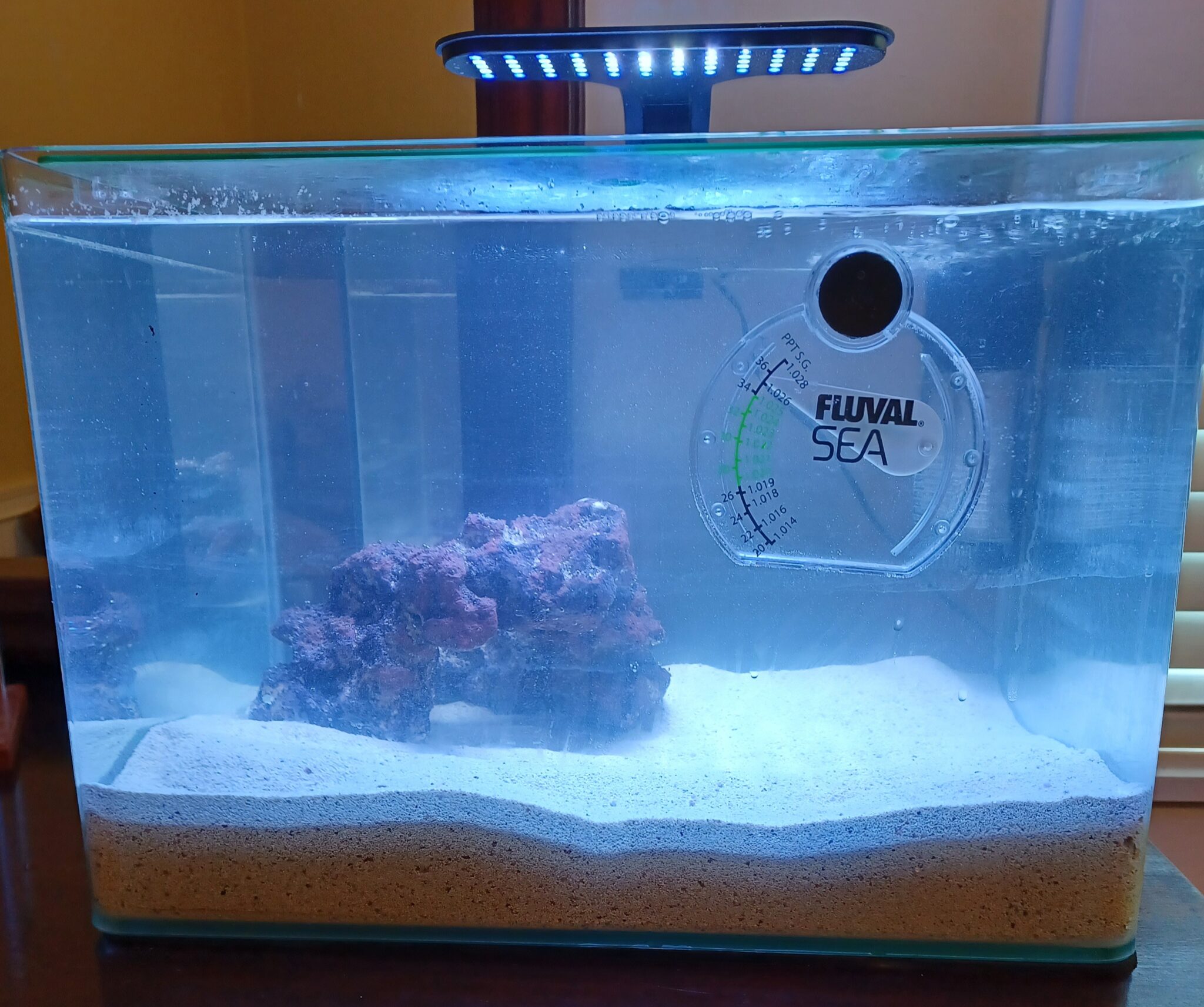 Saltwater Tank Part 1 - Fishkeeping For Kids